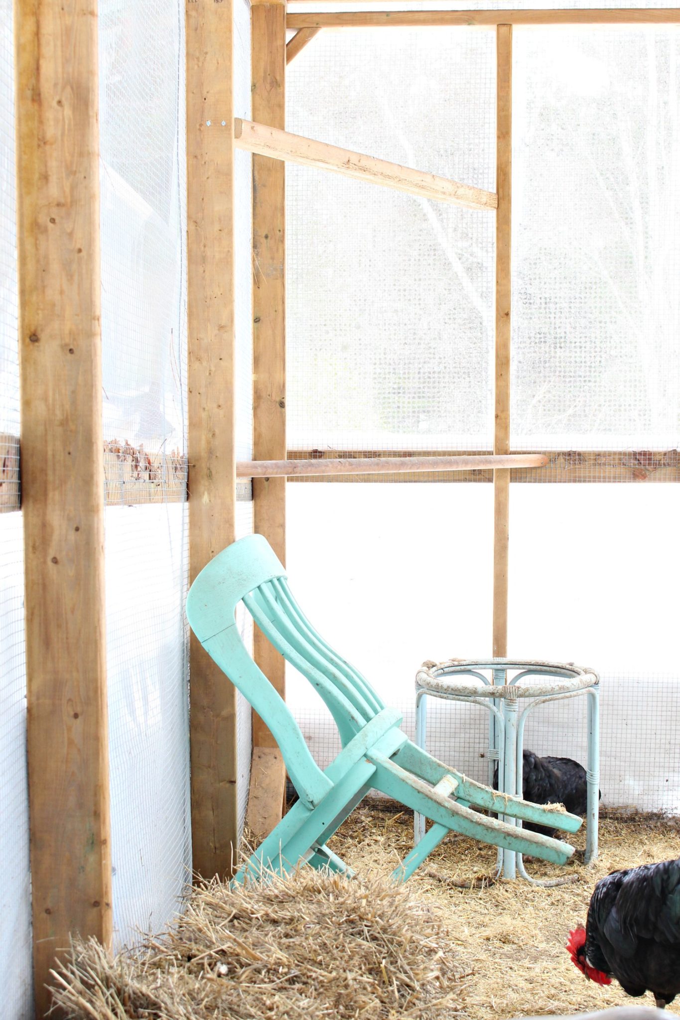 Keeping Chickens Warm in Extreme Cold Winter Weather | Dans le Lakehouse