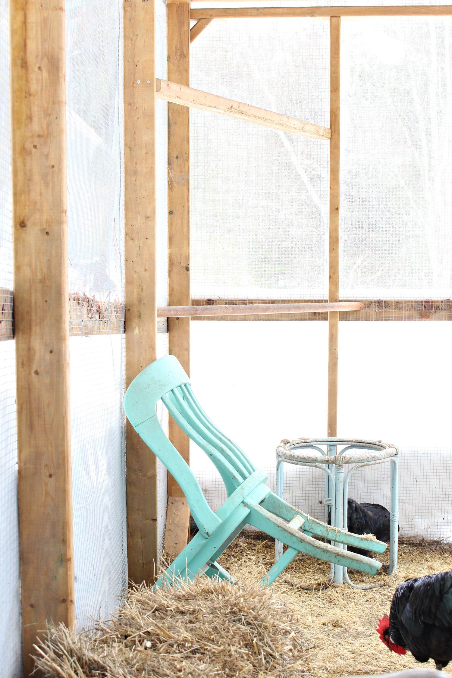 Keeping Chickens Warm in Extreme Cold Winter Weather | Dans le Lakehouse