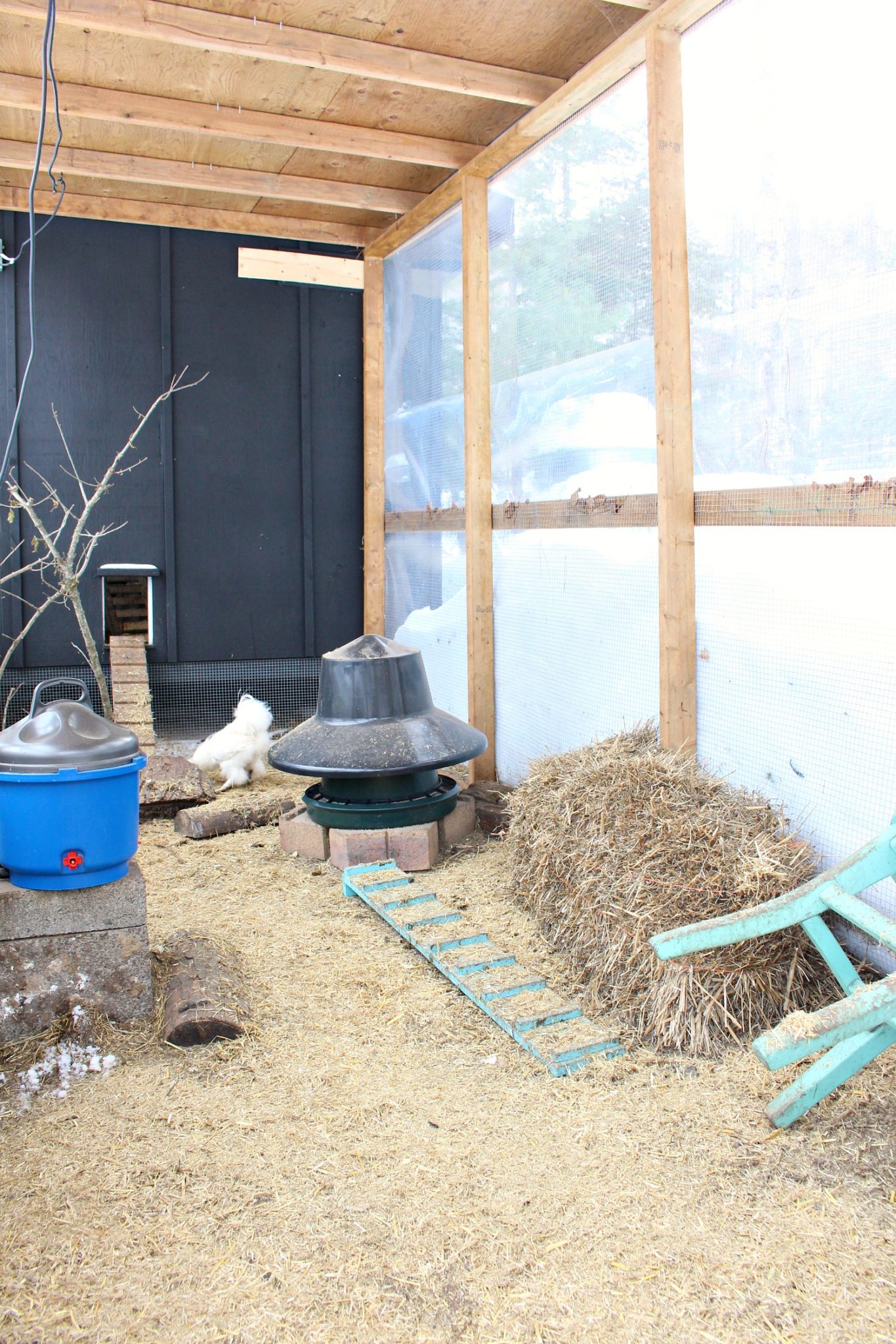 Keeping Chickens Warm in Extreme Cold Winter Weather | Dans le Lakehouse