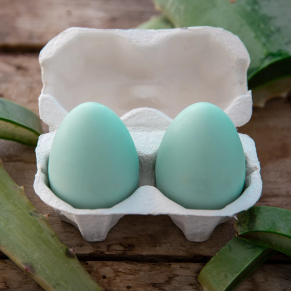 Modern Gift Ideas for Backyard Chicken Keepers | Dans le Lakehouse